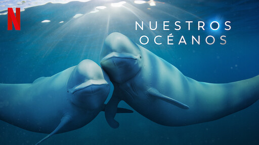 Compra ahora: La conspiración consumista | Sitio oficial de Netflix