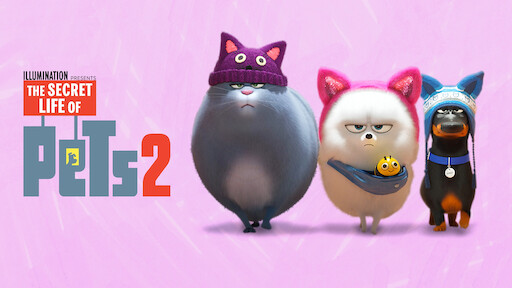 Watch Peter Rabbit 2 | Netflix