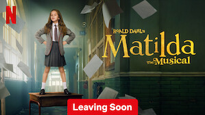 Movies Based on Books | Netflix Official Site
