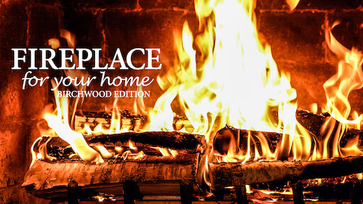 Watch Fireplace for Your Home | Netflix