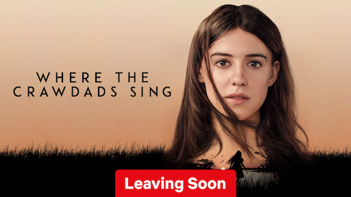 Watch Memoirs of a Geisha | Netflix