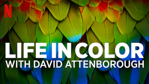 Watch David Attenborough: A Life on Our Planet | Netflix Official Site