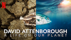 Best Documentaries | Netflix Official Site