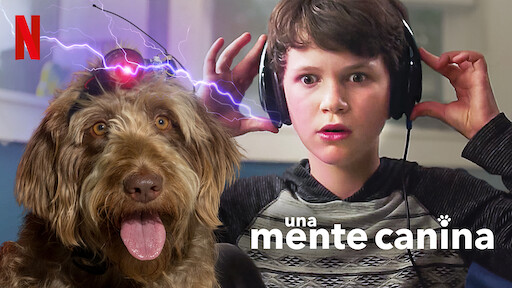 Siente el ritmo | Sitio oficial de Netflix