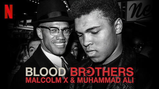 Watch Have a Good Trip: Adventures in Psychedelics | Netflix Official Site