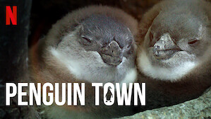 Docuseries | Netflix Official Site