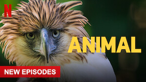 Only on Netflix | Netflix Official Site