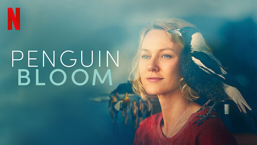 Watch Come Sunday | Netflix Official Site