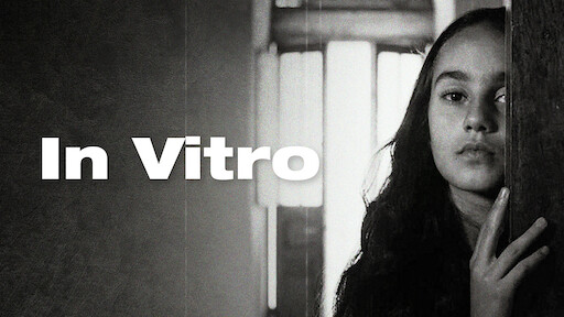 Watch Fireplace for Your Home | Netflix