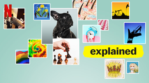 Watch Whose Vote Counts, Explained | Netflix Official Site