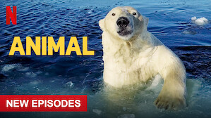 TV Shows | Netflix Official Site