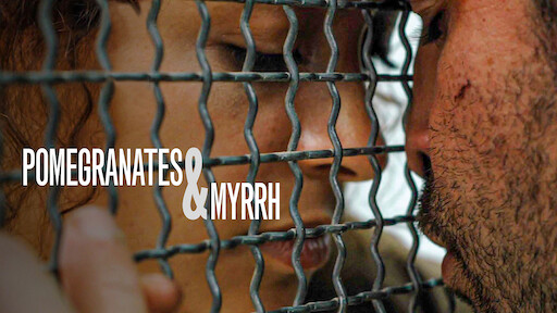 Watch 13TH | Netflix Official Site