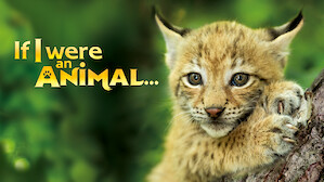 TV Shows | Netflix Official Site