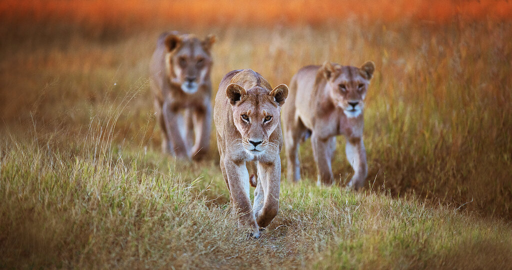 Watch Surviving Paradise: A Family Tale | Netflix Official Site