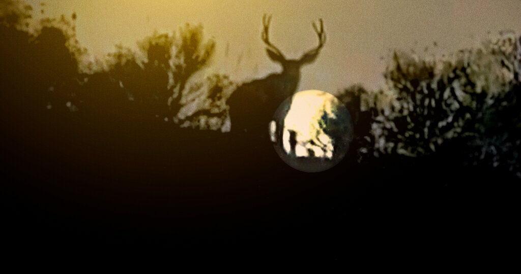 Investigation Alien | Sitio oficial de Netflix