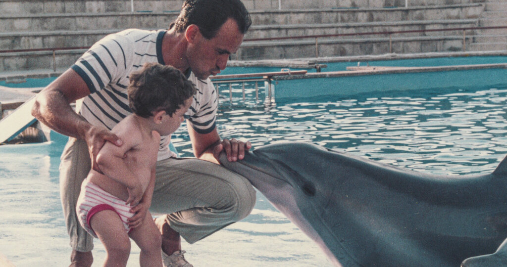 Watch The Last Dolphin King | Netflix Official Site