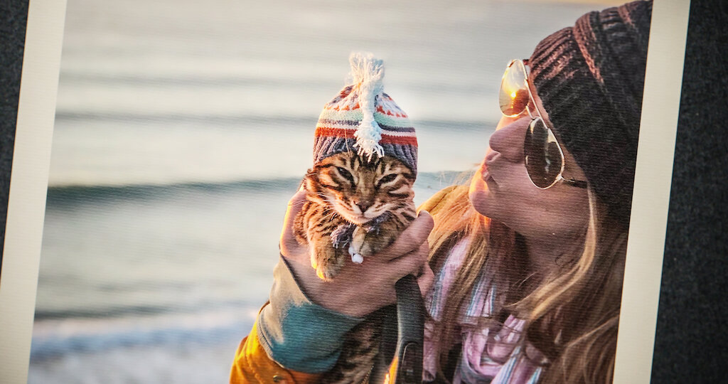 Watch Cat People | Netflix Official Site