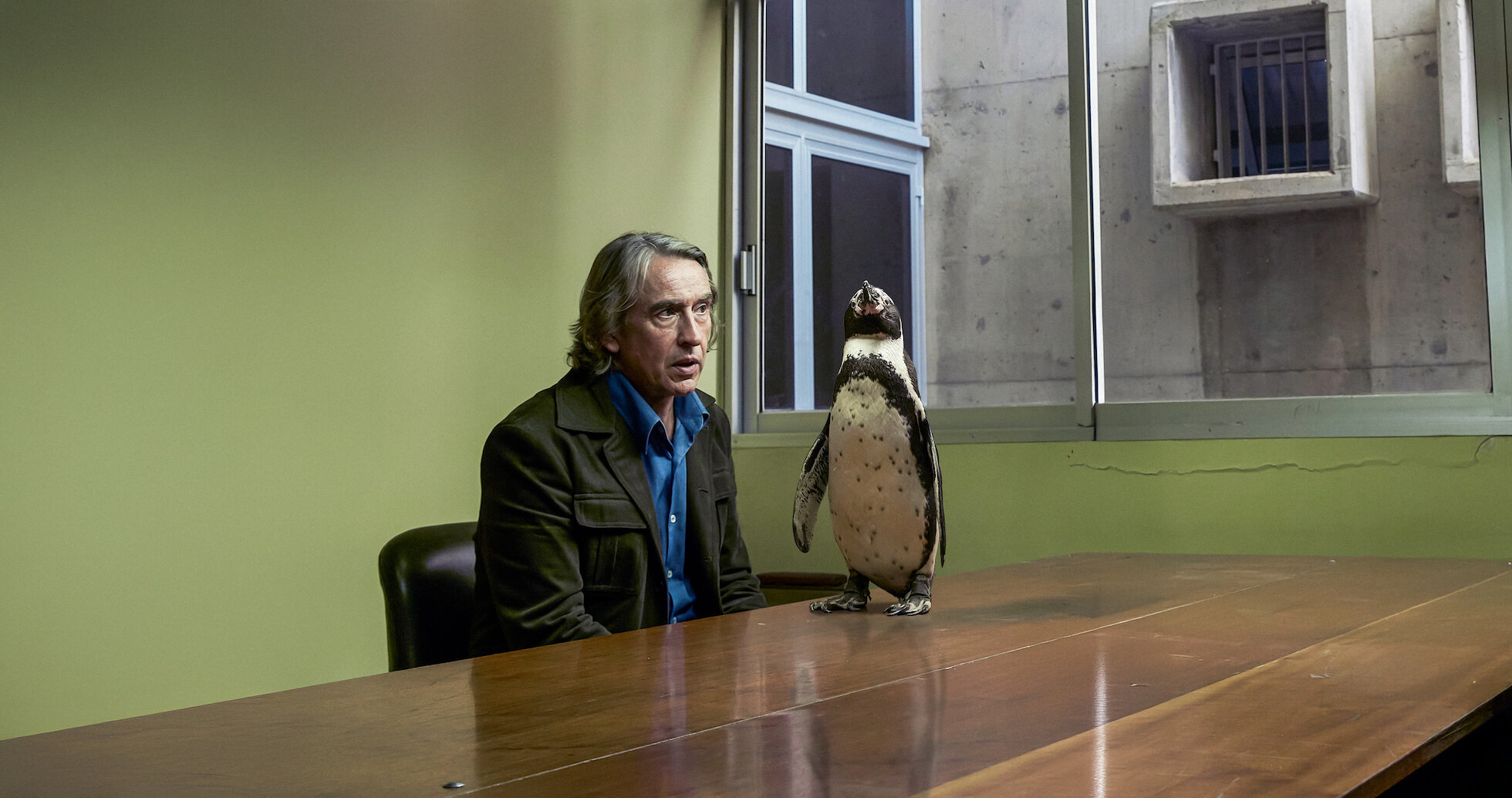 Watch The Penguin Lessons | Netflix