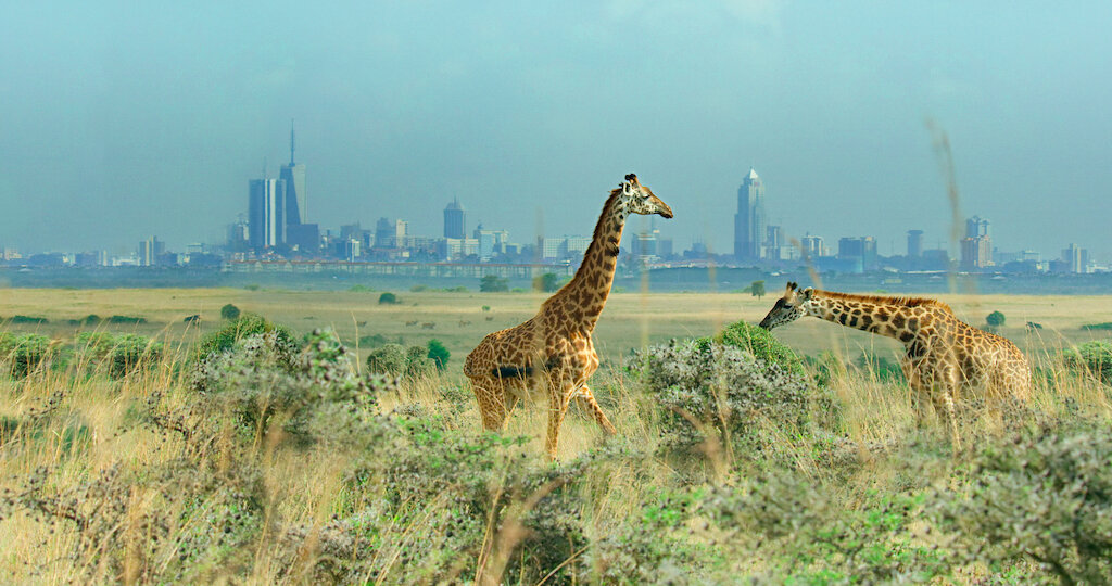 Watch Breaking Boundaries: The Science Of Our Planet | Netflix Official ...