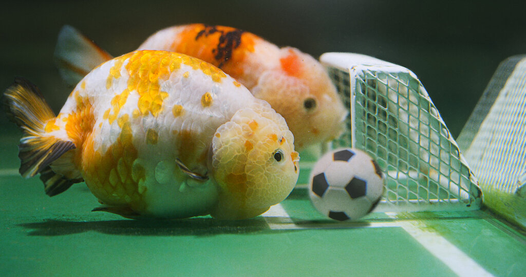 Watch The Hidden Lives of Pets | Netflix Official Site