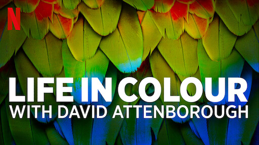 David Attenborough: A Life on Our Planet | Officiële Netflix-website