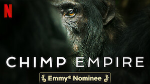 Docuseries | Netflix Official Site