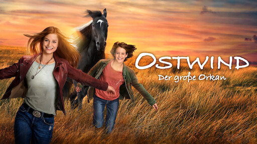 Watch Bibi & Tina | Netflix