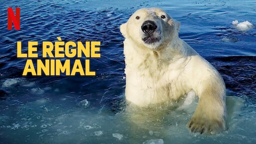 Watch David Attenborough : Une vie sur notre planète | Netflix Official Site