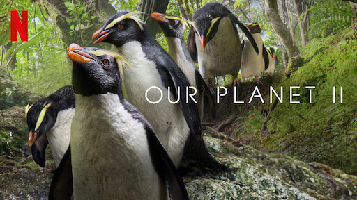 Watch David Attenborough: A Life on Our Planet | Netflix Official Site