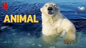 Nature & Ecology Documentaries | Netflix Official Site